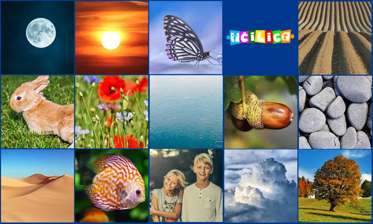 Živa i neživa priroda (4.r.)