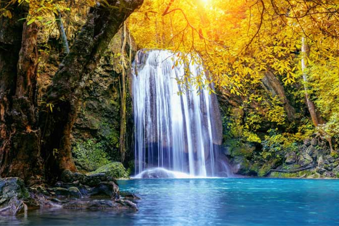 Voda u životu ljudi (priroda 3. razred) - Školica NET