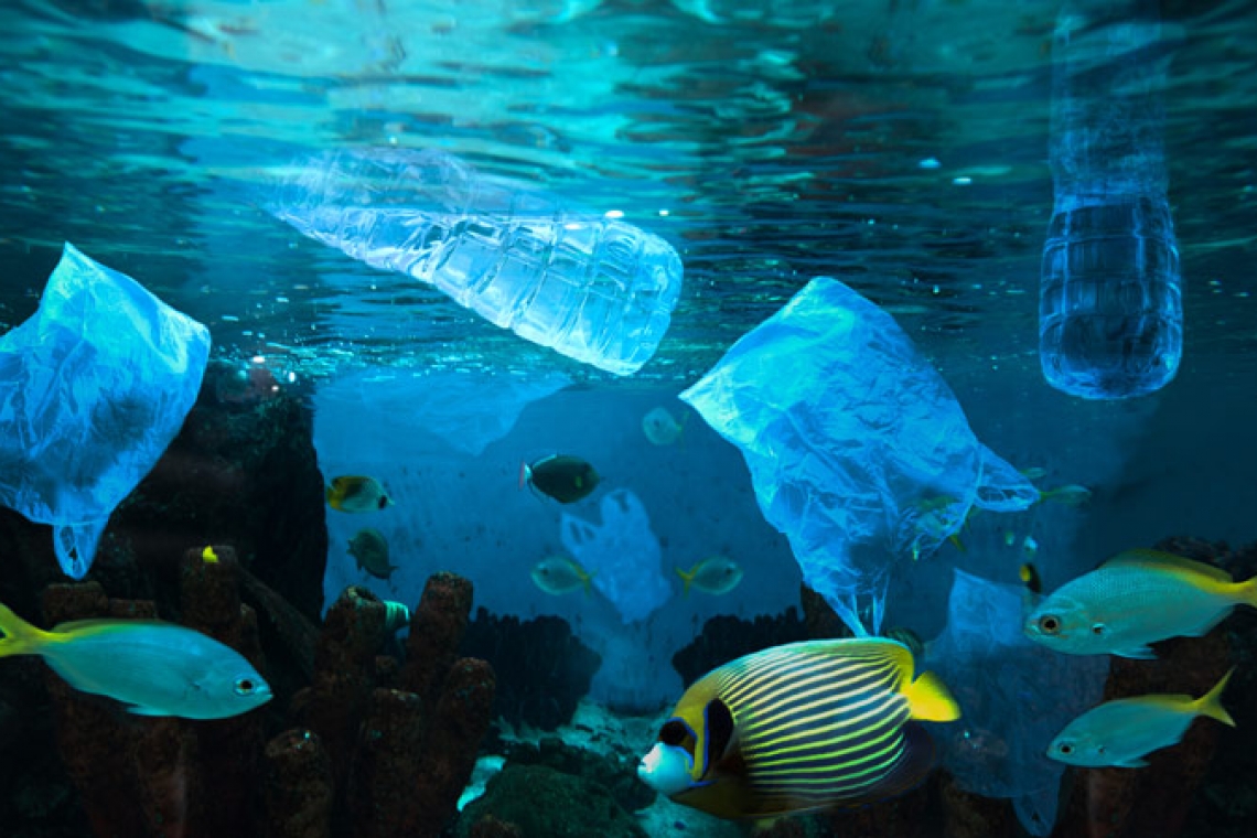 Onečišćenja - Odnos čovjeka i prirode (priroda 6. razred) - Školica NET