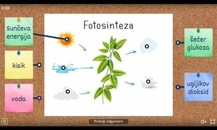 Fotosinteza (priroda 6. razred)